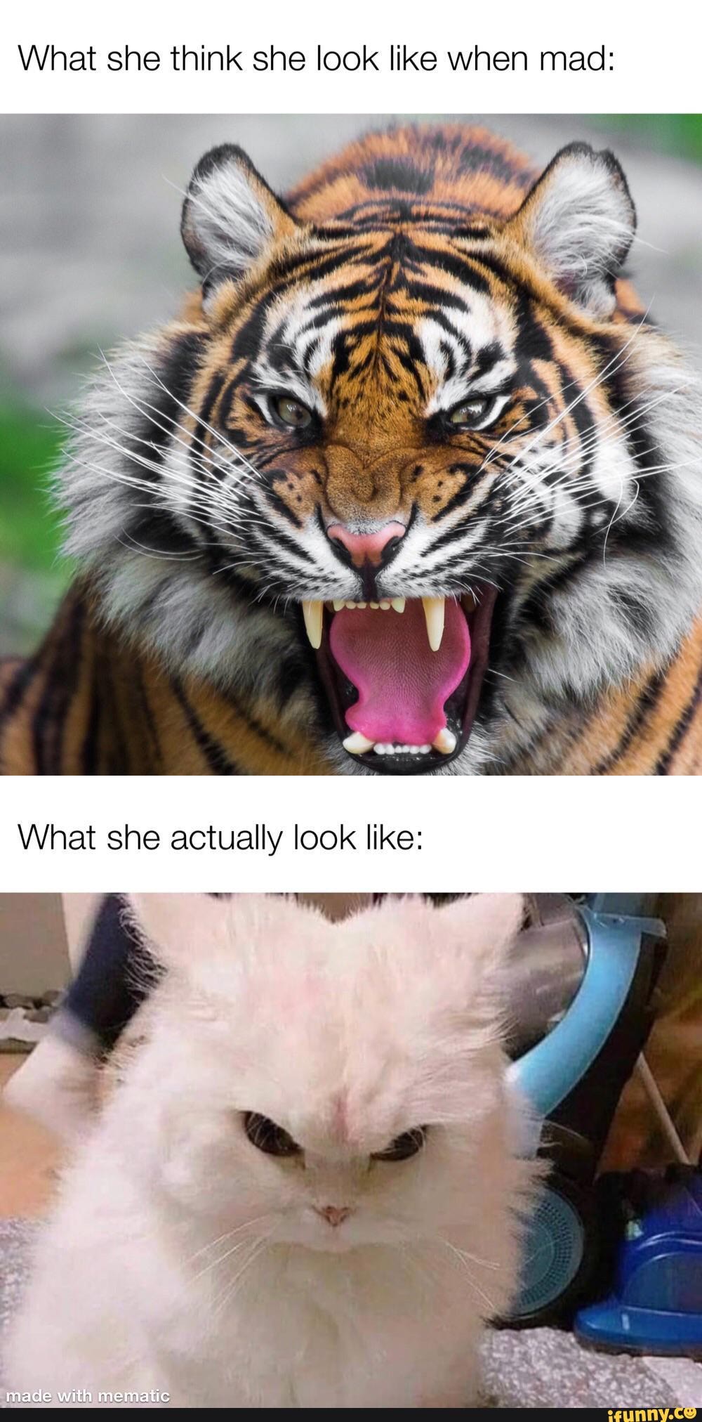 What she think she look like when mad: What she actually look like ...