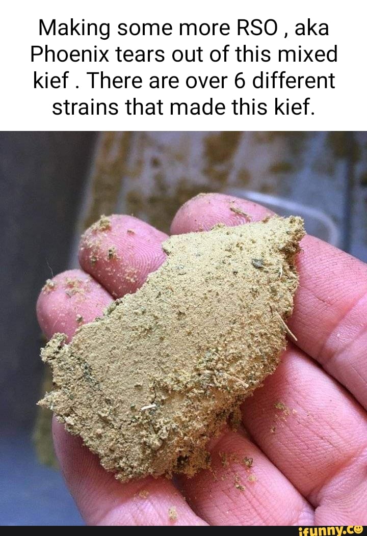 Strains memes. Best Collection of funny Strains pictures on iFunny