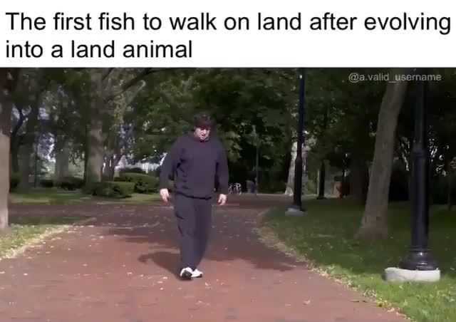 The first fish to walk on land after evolving into a land animal - )