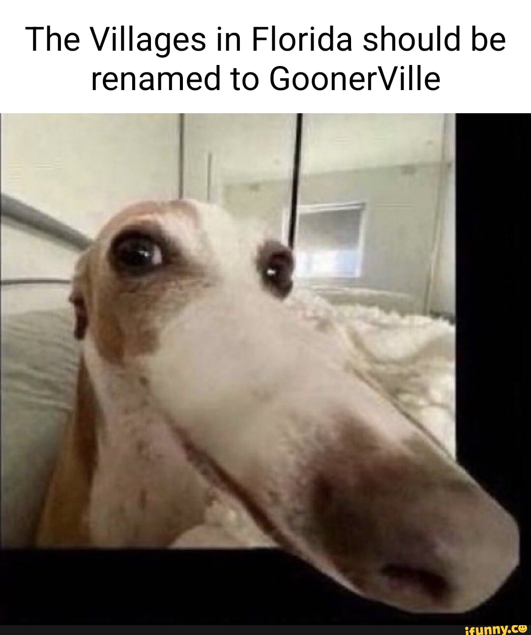 Villages memes. Best Collection of funny Villages pictures on iFunny