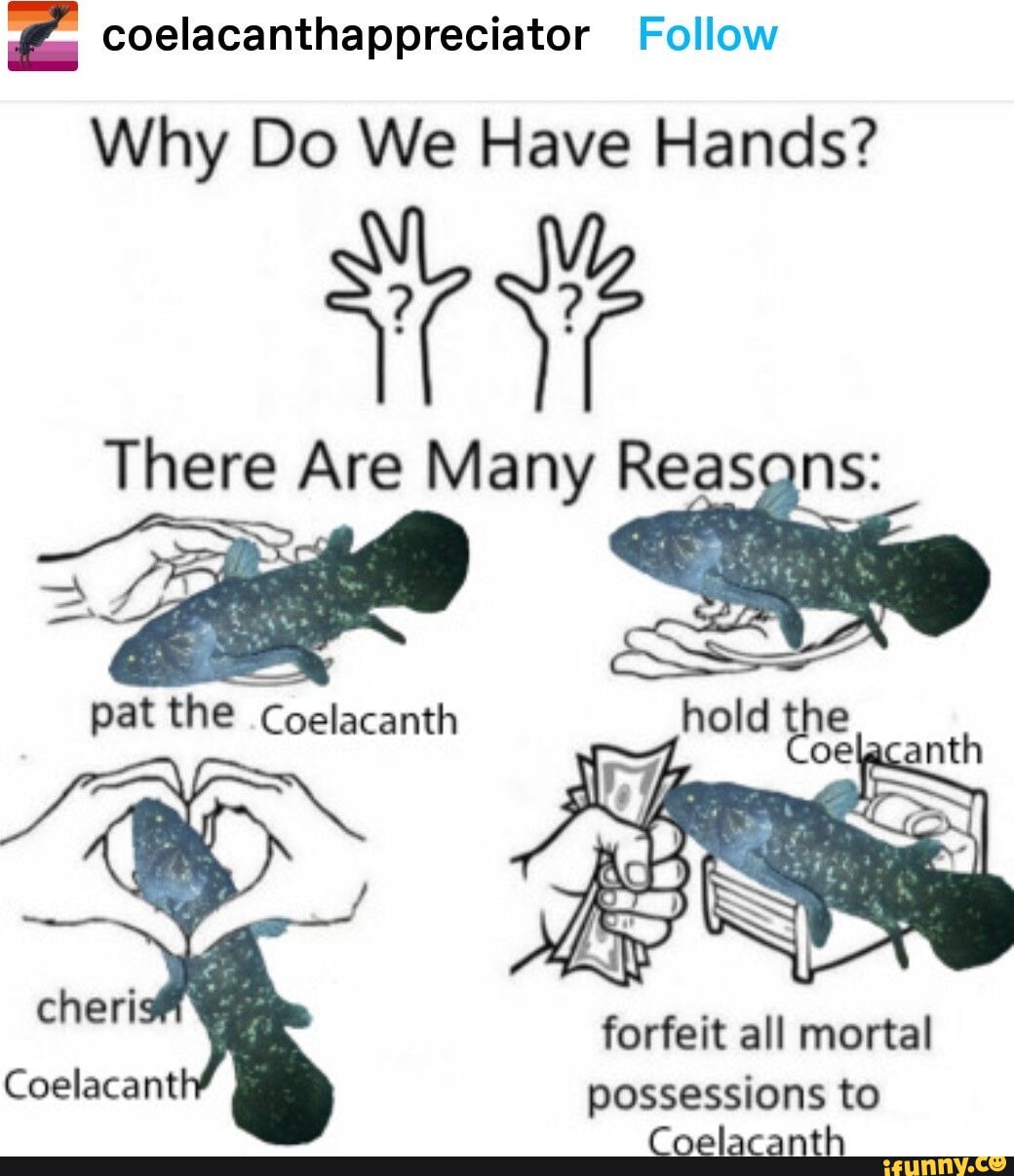 Forfeit memes. Best Collection of funny Forfeit pictures on iFunny