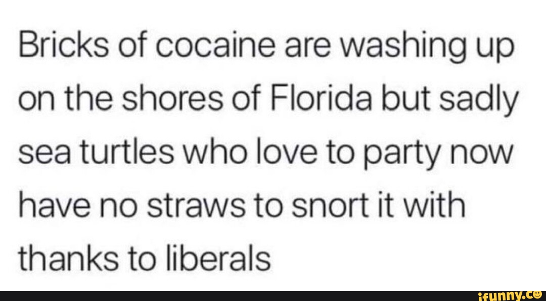 Sea memes. Best Collection of funny Sea pictures on iFunny