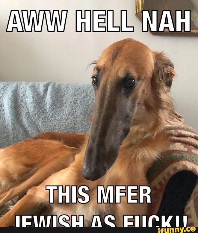 Ivicle memes. Best Collection of funny Ivicle pictures on iFunny