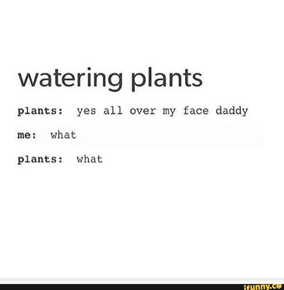 Watering Plants Plants Yes All Over My Face Daddy Me What Plants