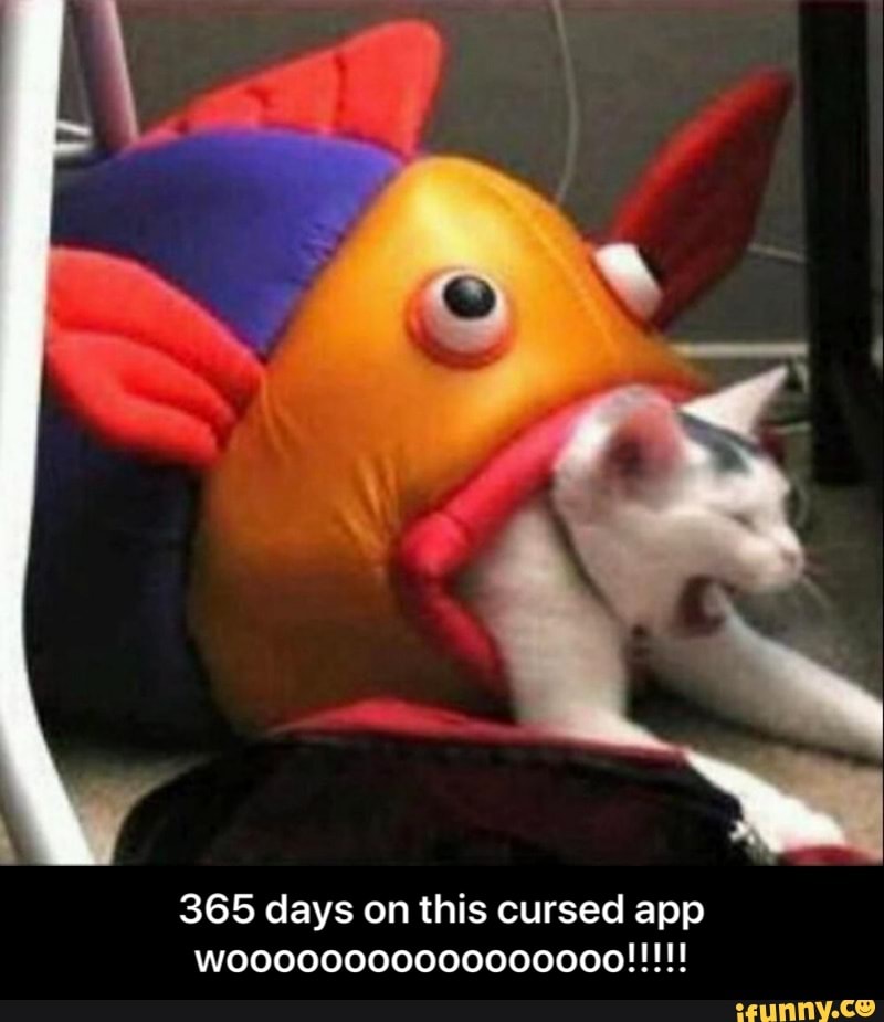 Wooooooooooooooooo memes. Best Collection of funny Wooooooooooooooooo ...