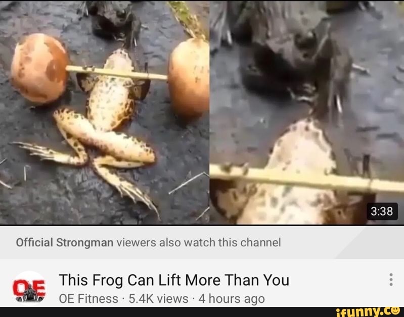 Official Strongman viewers also watch this channel This Frog Can Lift ...