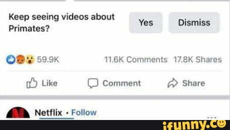 Obs memes. Best Collection of funny Obs pictures on iFunny