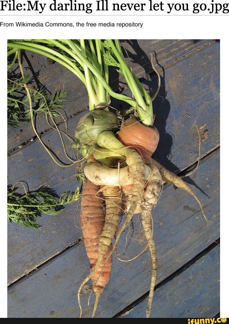 Repository memes. Best Collection of funny Repository pictures on iFunny