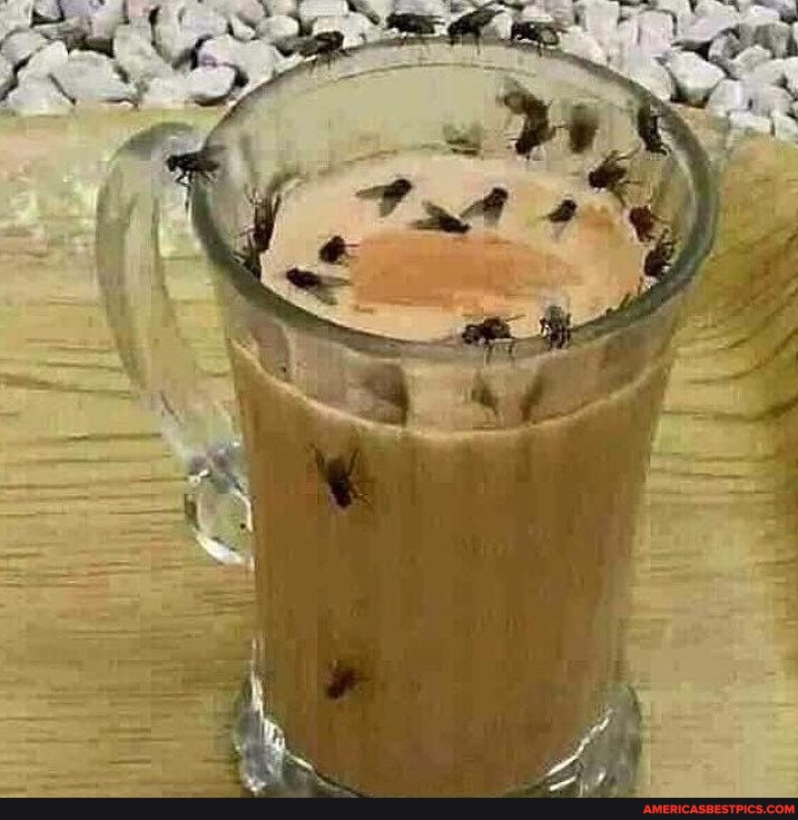 Cursed fly drink - America’s best pics and videos