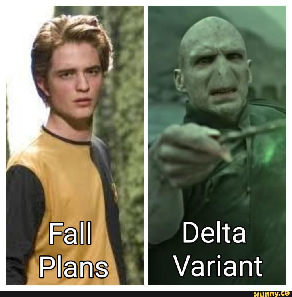 Plens memes. Best Collection of funny Plens pictures on iFunny