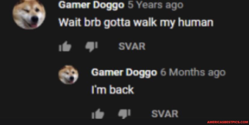 Gamer Doggo 5 Years ago Wait brb gotta walk my human SVAR Gamer Doggo 6 ...