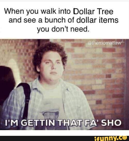 When you walk into Dollar Tree and see a bunch of dollar items you don ...