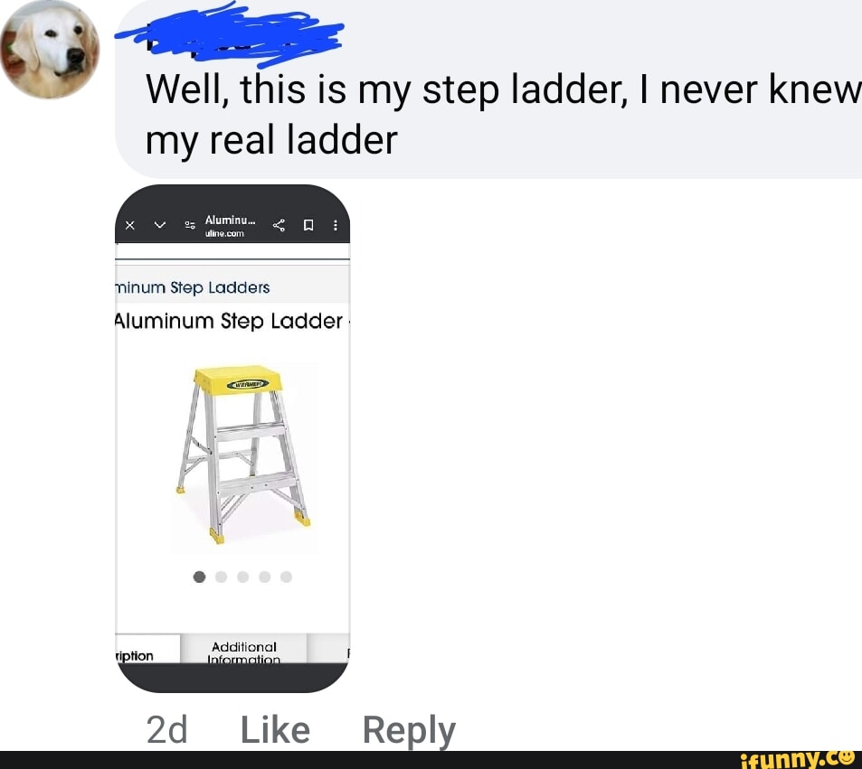 Well, this is my step ladder, I never knew my real ladder minum Step ...