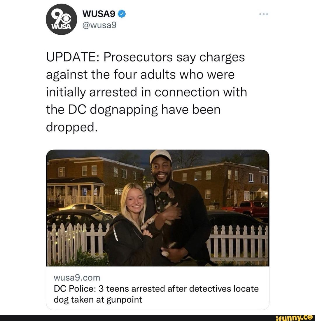 Dognapping memes. Best Collection of funny Dognapping pictures on iFunny