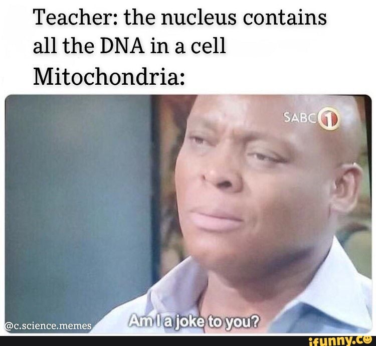 Teacher: the nucleus contains all the DNA in a cell Mitochondria: SABC ...