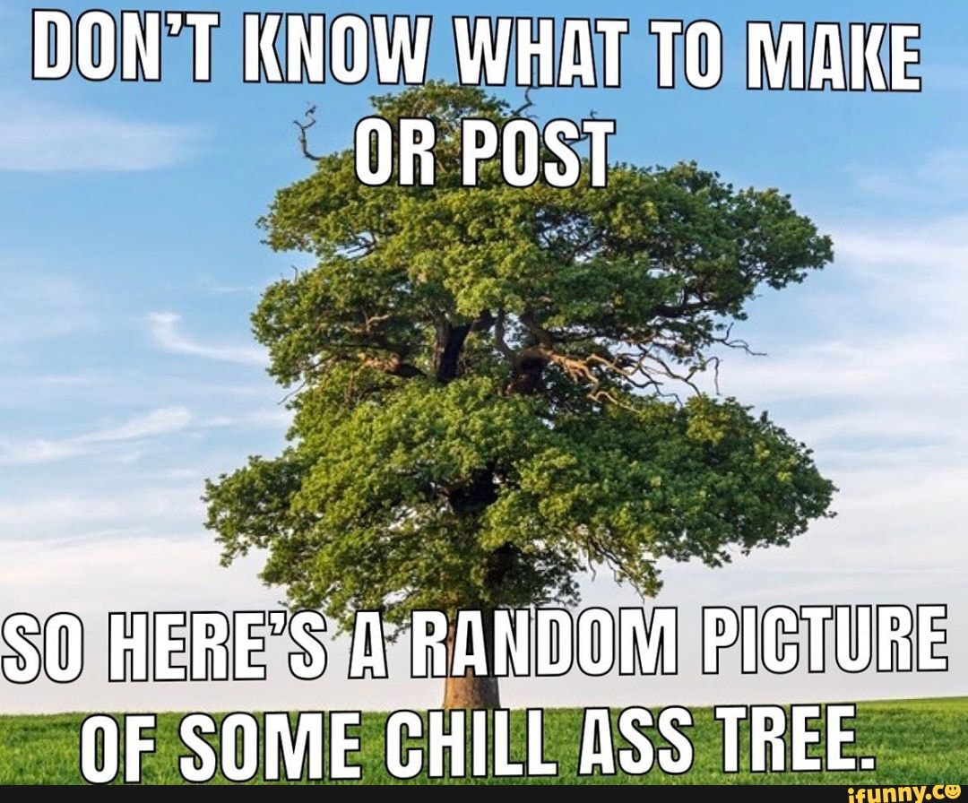 Chitt memes. Best Collection of funny Chitt pictures on iFunny