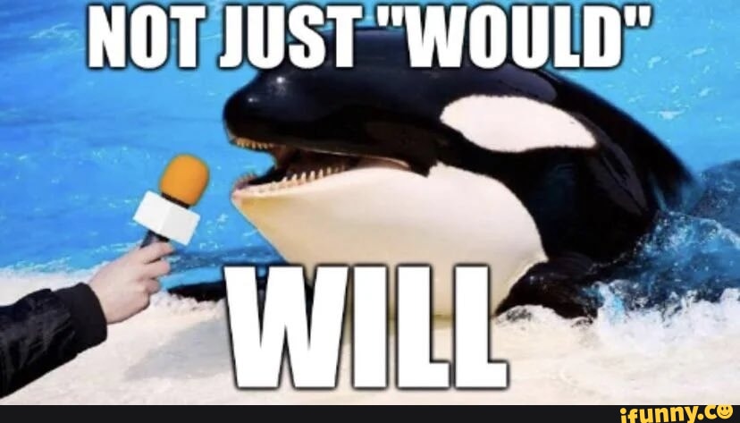 NOT JUST "WOULD" "WILL - iFunny