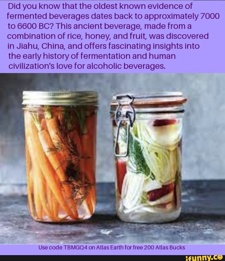 Did you know that the oldest known evidence of fermented beverages ...