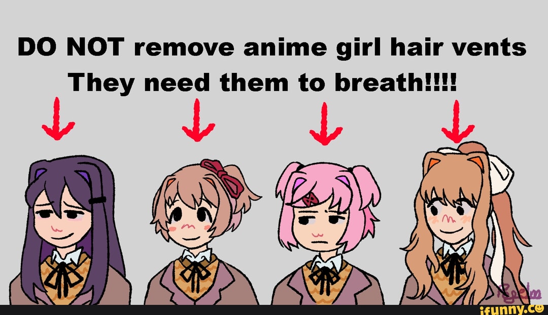 DO NOT remove anime girl hair vents They need them to breath!!! - iFunny