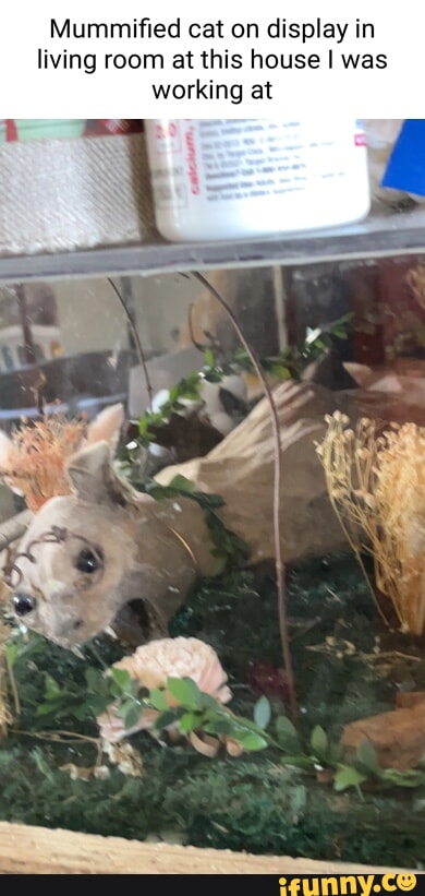 Nothing makes me laugh as consistently as remembering the story of ...