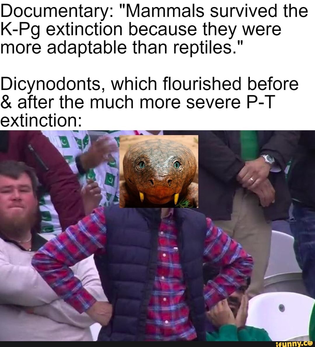 Documentary: "Mammals survived the K-Pg extinction because they were ...