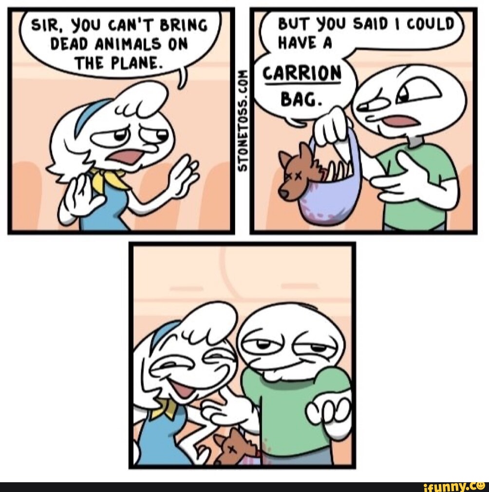 Tried taking Martin on a walk and he isn't doing super hot - iFunny