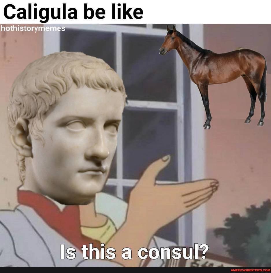 Caligula be like hothistorymemes Is this a consul? - America’s best ...