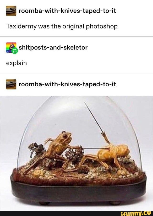 I roomba-with-knives-taped -to-it Taxidermy was the original photoshop ...