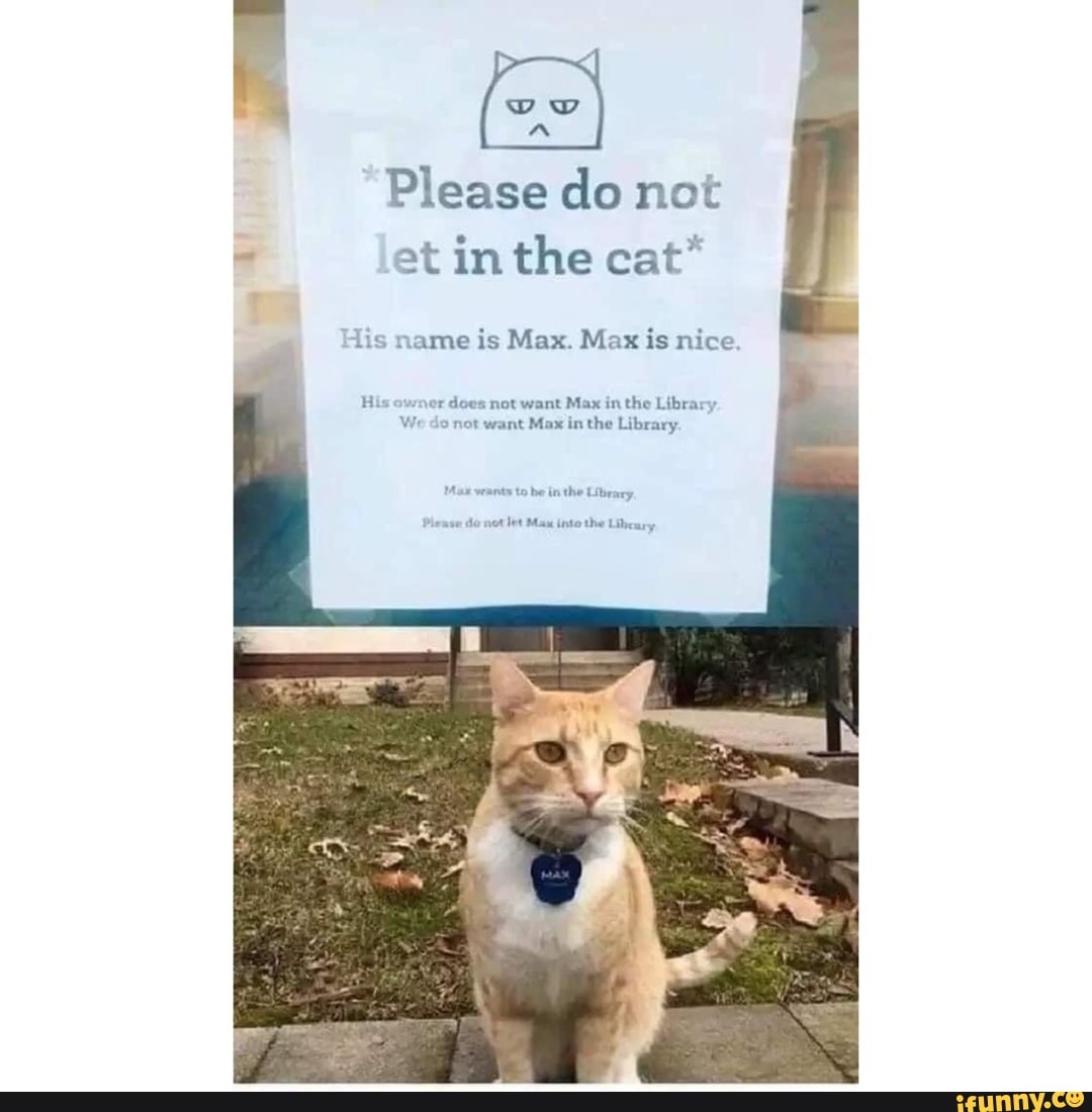 Please do not et in the cat* His name is Max. Max is nice. His owner ...