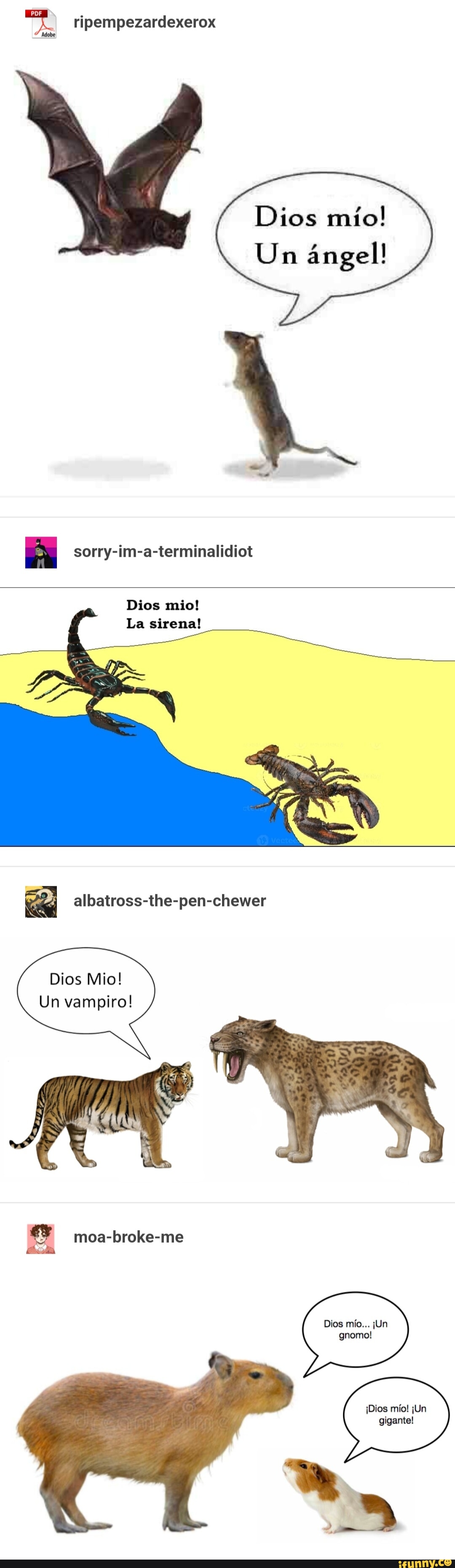 Ripempezardexerox Adobe Dios mio! Un ángel! sorry-im-a-terminalidiot ...