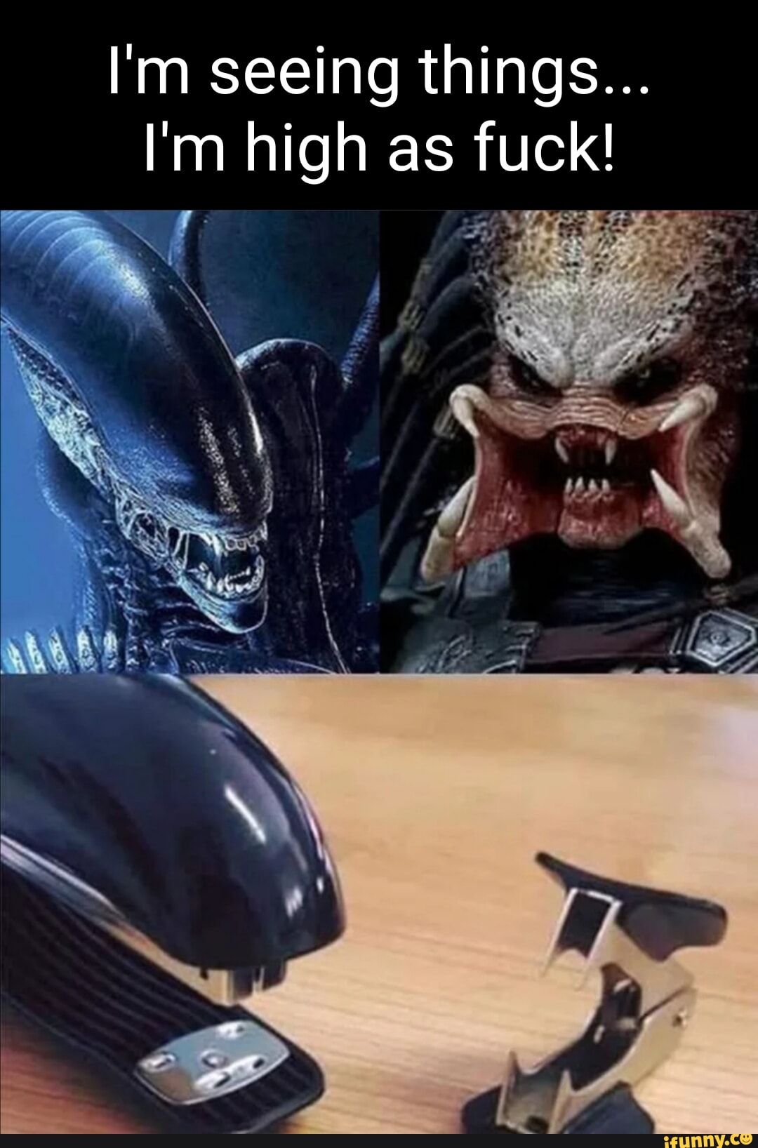 I'm seeing things... I'm high as fuck! - iFunny