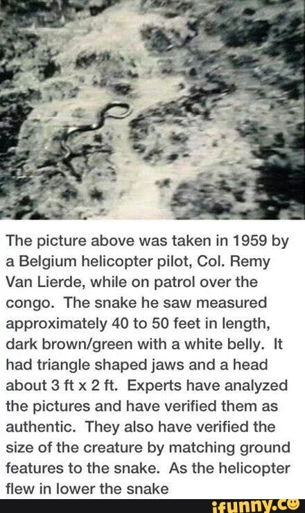 The picture above was taken in 1959 by a Belgium helicopter pilot, Col ...