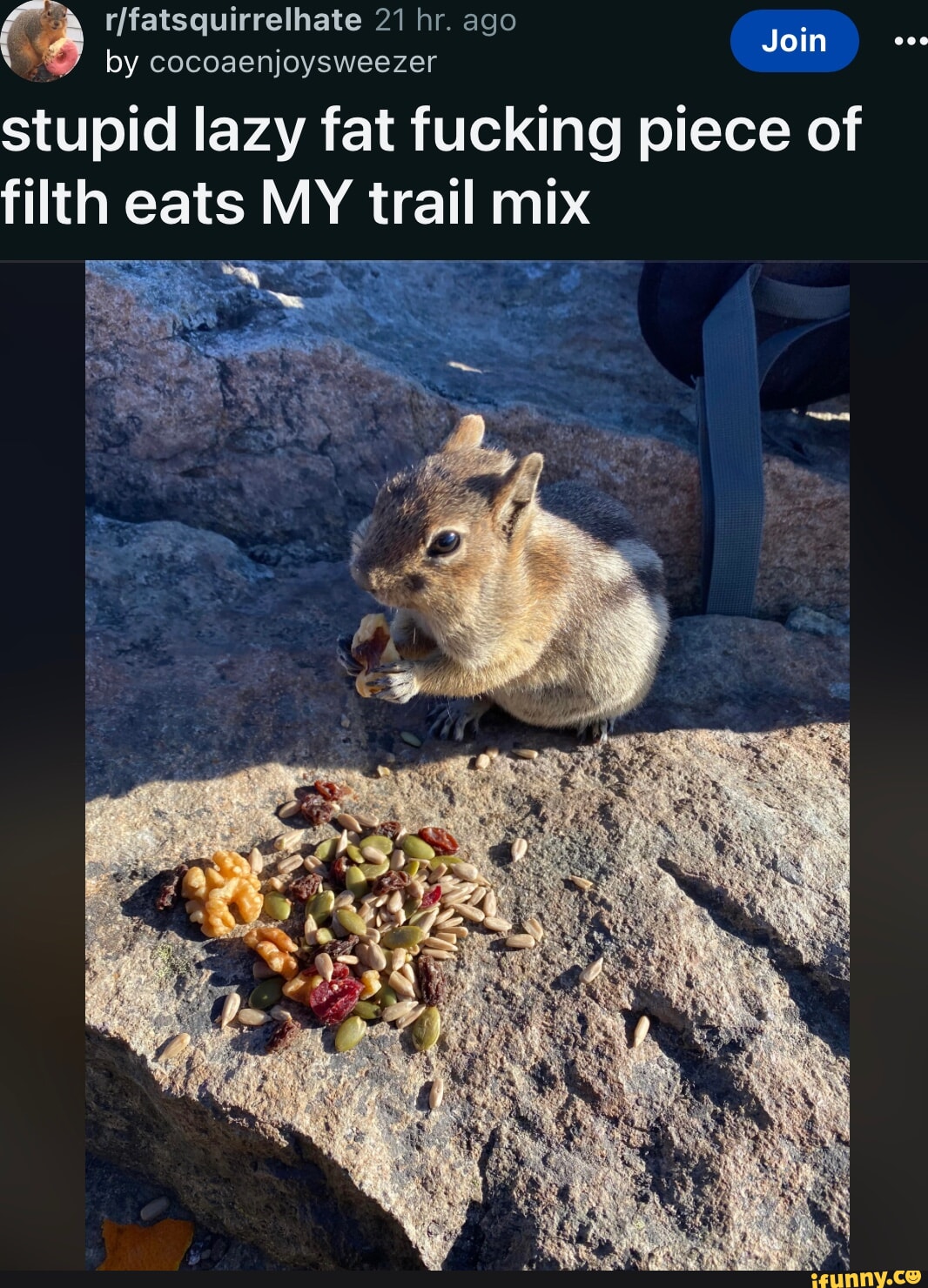 Cocoaenjoysweezer memes. Best Collection of funny Cocoaenjoysweezer ...