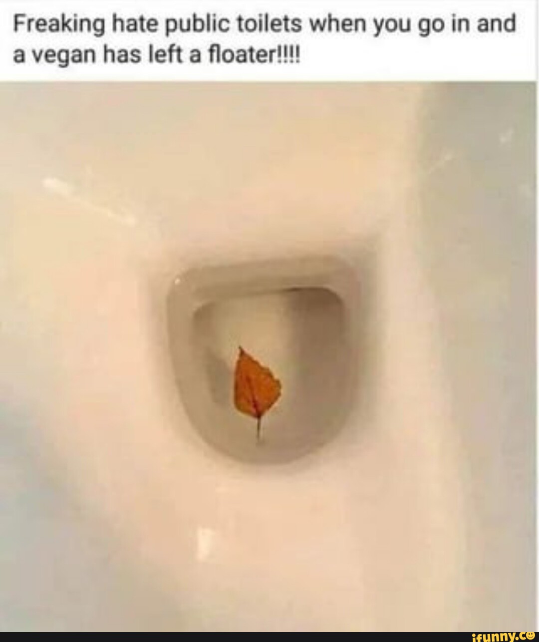 Floater memes. Best Collection of funny Floater pictures on iFunny