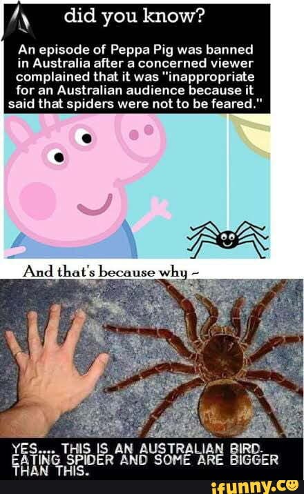 Did you know? An episode of Peppa Pig was banned in Australia after a ...