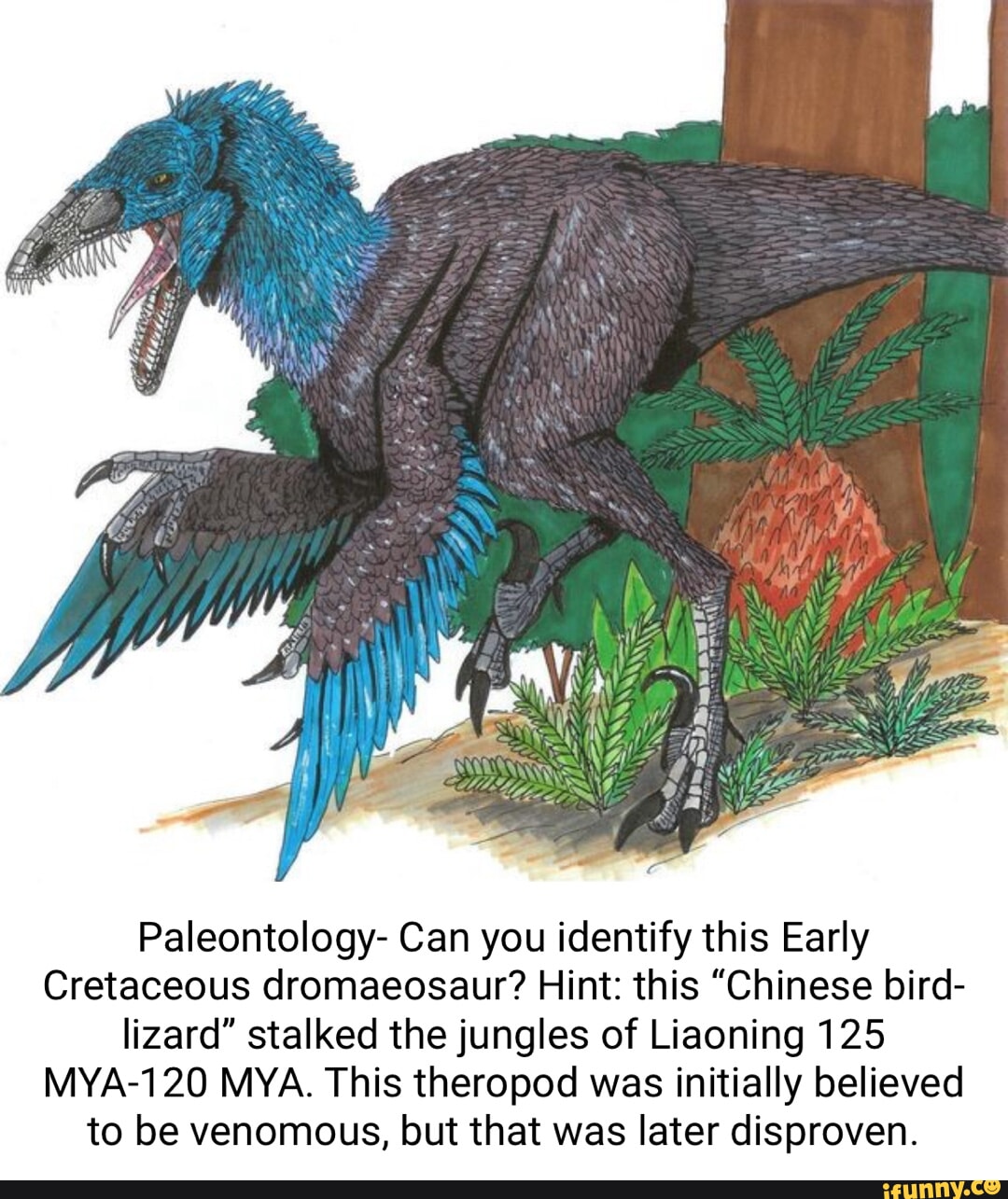 Paleontology- Can you identify this Early Cretaceous dromaeosaur? Hint ...