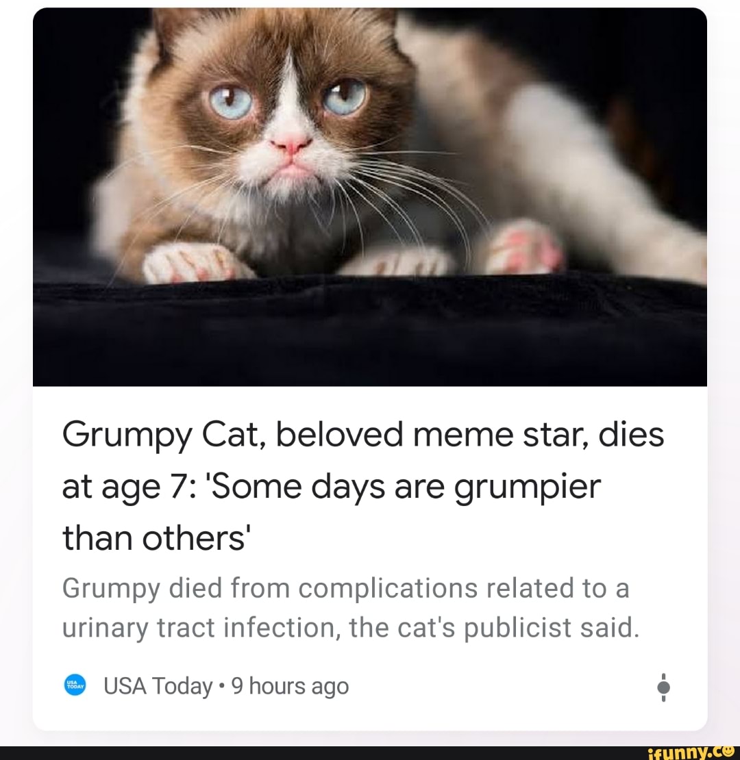 Grumpy Cat, beloved meme star, dies at age 7: 'Some days are grumpier ...