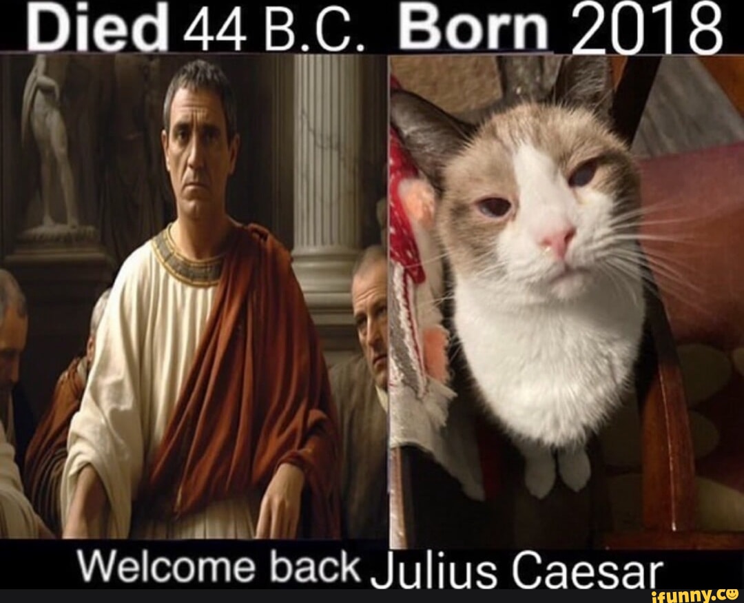 Video memes yoz97cN8B by ZeroWolf224 - iFunny