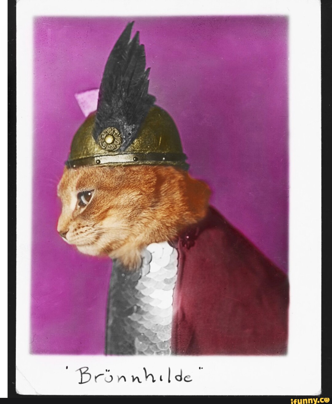 Tilde memes. Best Collection of funny Tilde pictures on iFunny