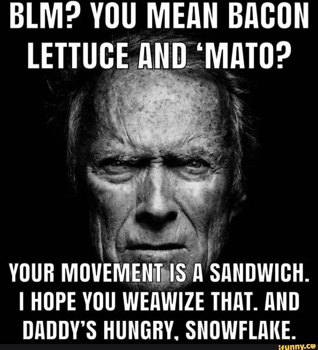 BLM? YOU MEAN BACON LETTUCE AND "MATO? YOUR MOVEMENT IS A SANDWICH. I ...