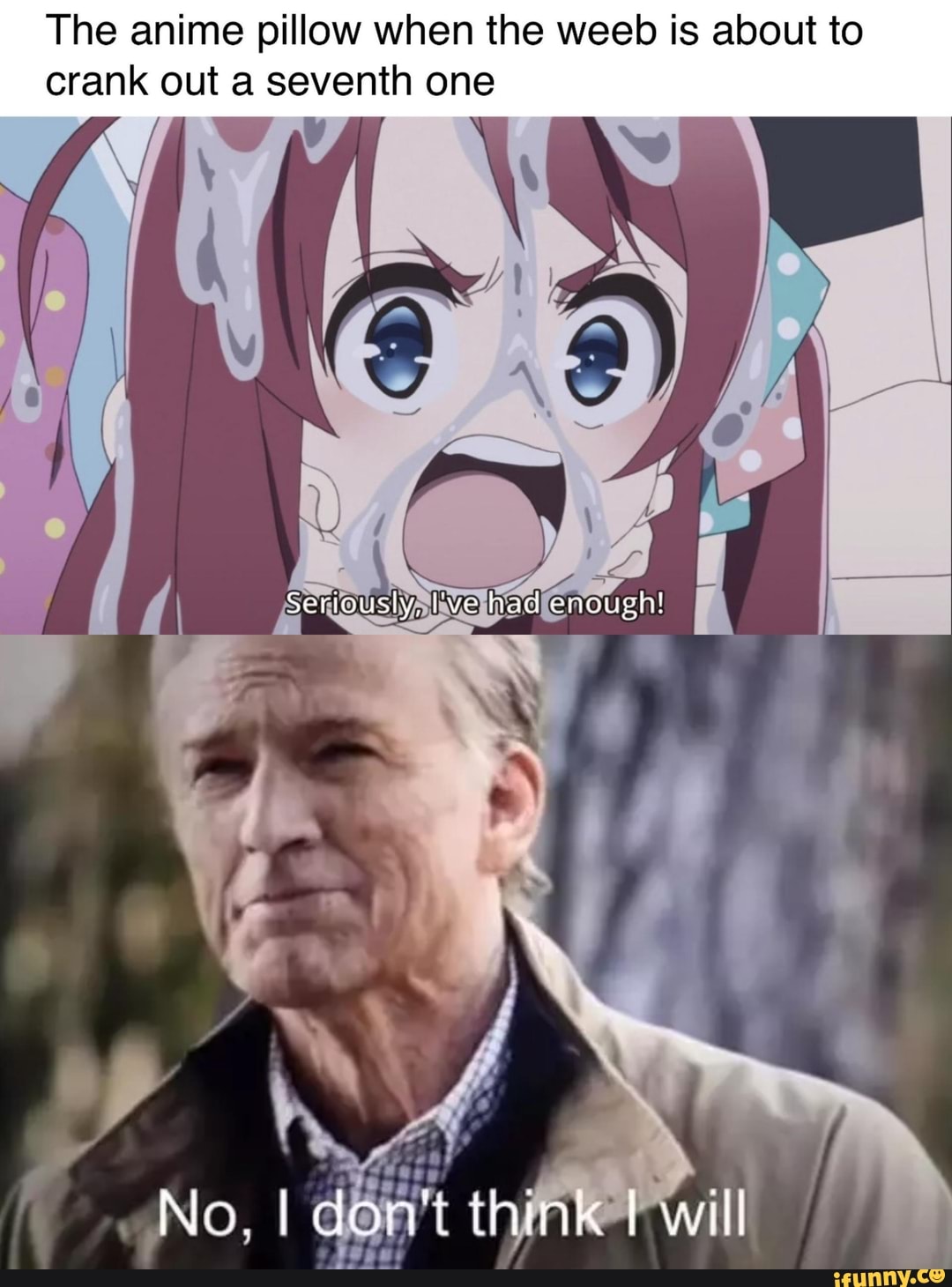 The anime pillow when the weeb is about to crank out a seventh one - iFunny
