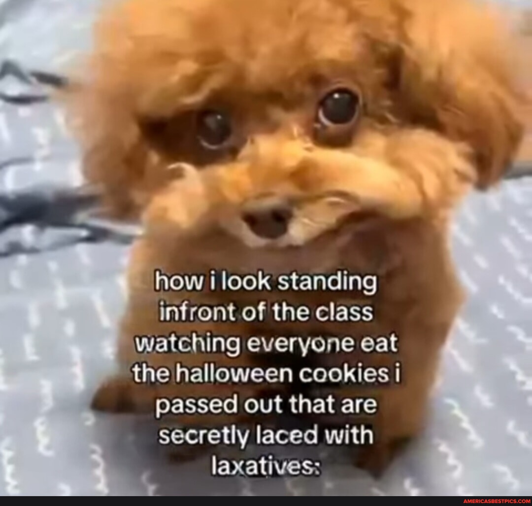 How i look standing infront of the class watching everyone eat the ...