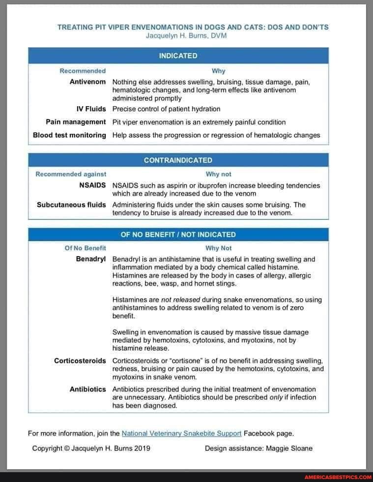 'TREATING PIT VIPER ENVENOMATIONS IN DOGS AND CATS: DOS AND DON'TS ...