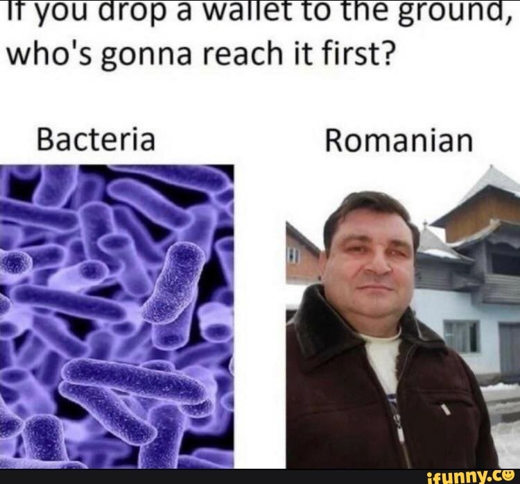 You arop a wallet to the grouna who's gonna reach it first? Bacteria ...