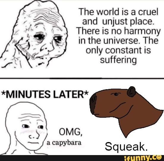 Squeak memes. Best Collection of funny Squeak pictures on iFunny