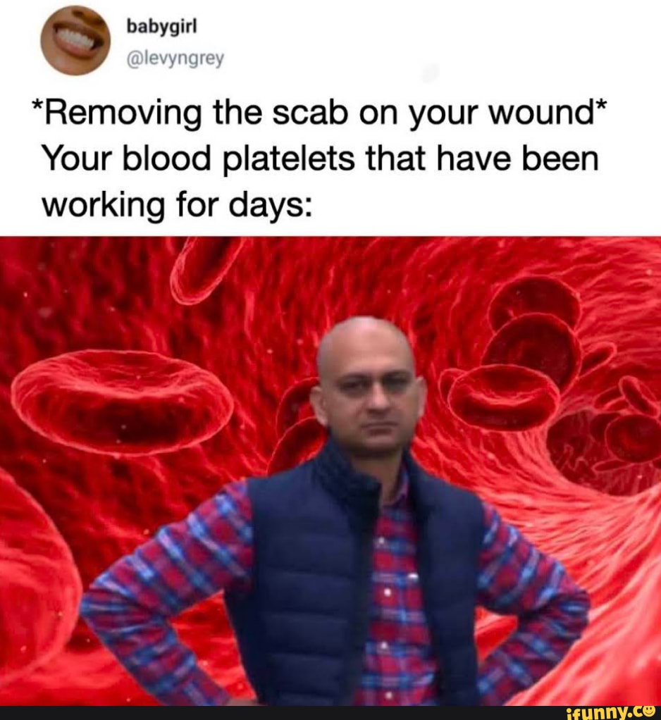 Dlevyngrey *Removing the scab on your wound* Your blood platelets that ...