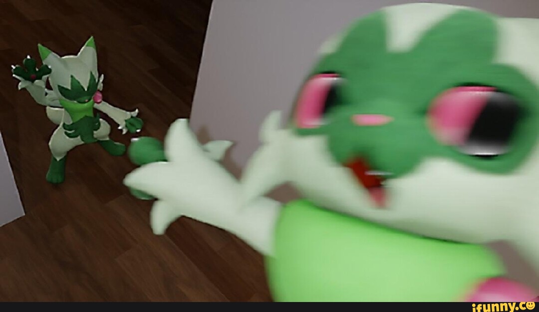 Floragato memes. Best Collection of funny Floragato pictures on iFunny