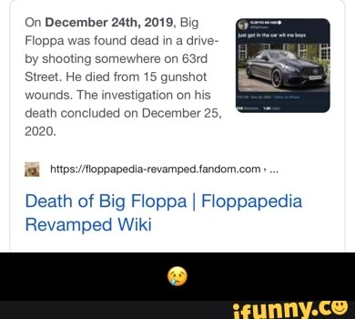 Floppapedia memes. Best Collection of funny Floppapedia pictures on iFunny