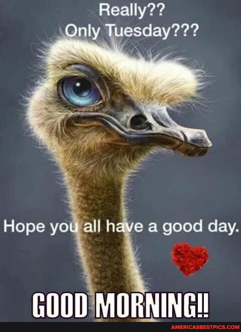 Really?? Only Tuesday??? Hope you al have a good day. MOR - America’s ...