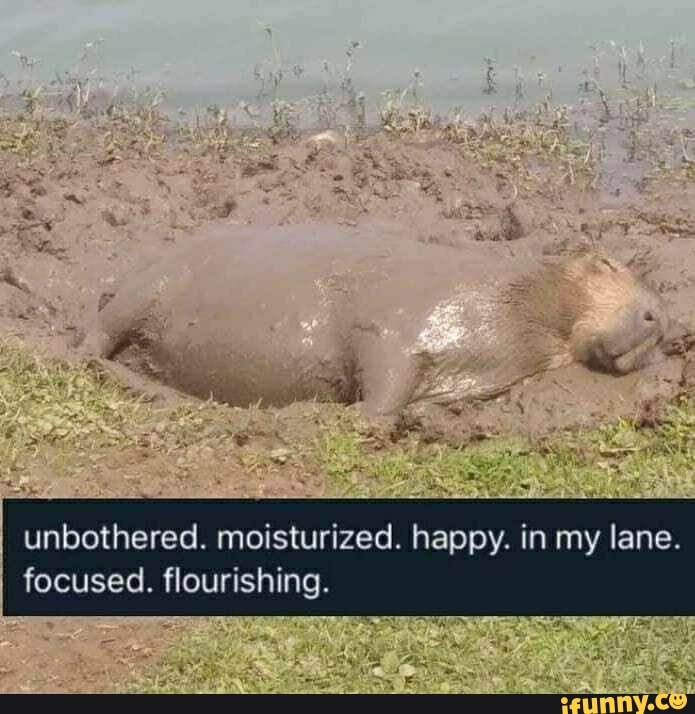 Unbothered. moisturized. happy. in my lane. focused. flourishing. - iFunny